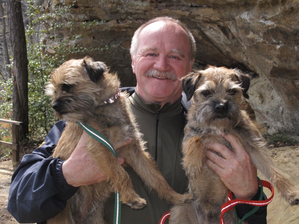 Benji type Dog – Border Terrier – Stolen | Louisville Lost and Found